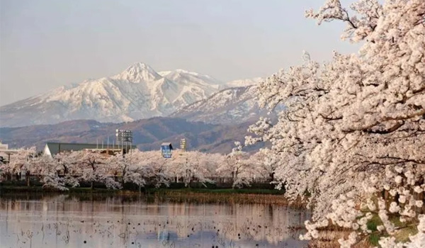 Crystal Cruises – Genesys Creative Systems